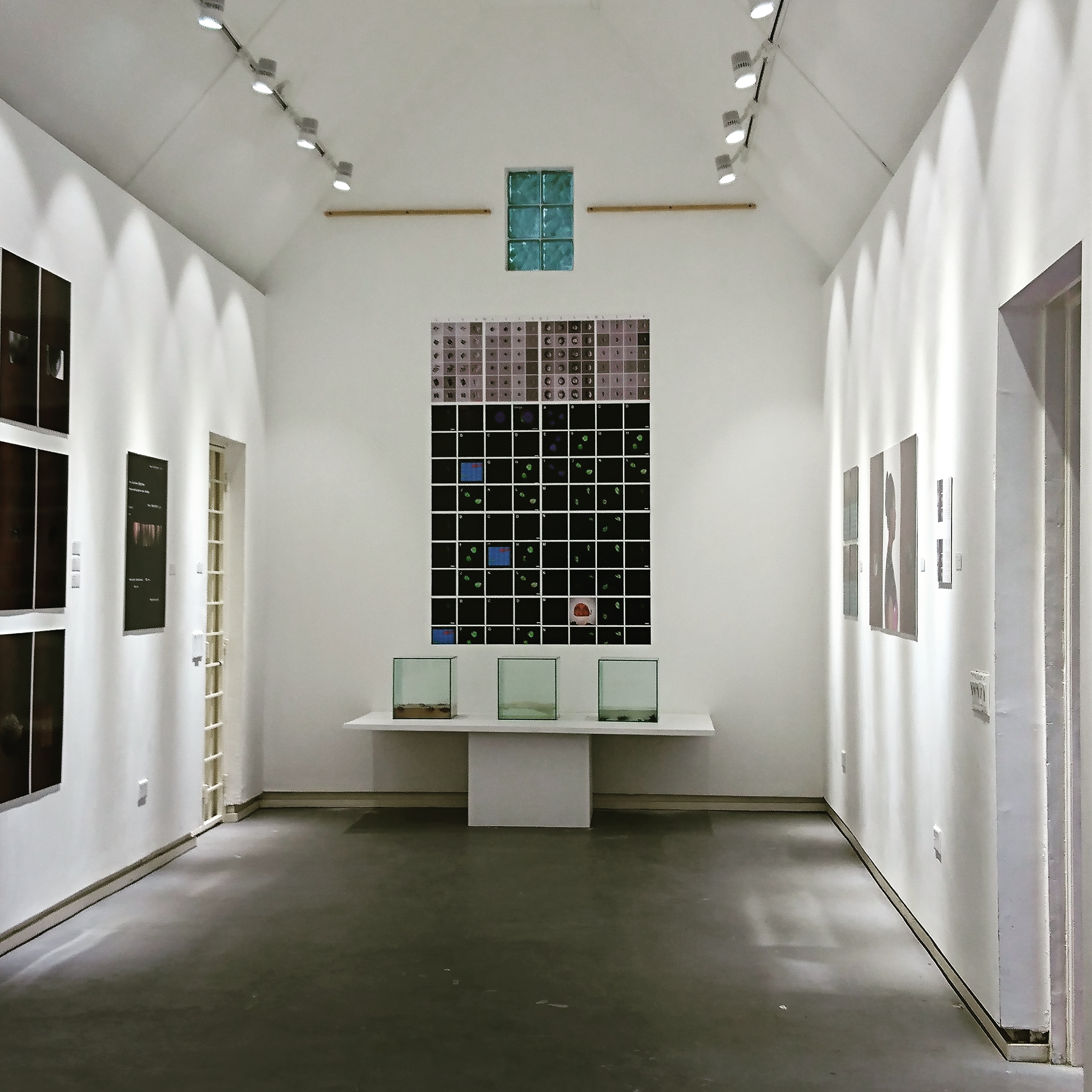 Some Reflections on Petrona Morrison’s “New Works” Exhibition ...